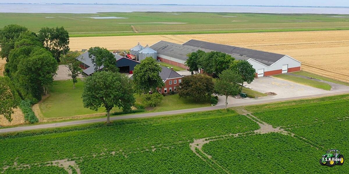 Fodder, straw, and hay - Delger Fourage & Landbouw